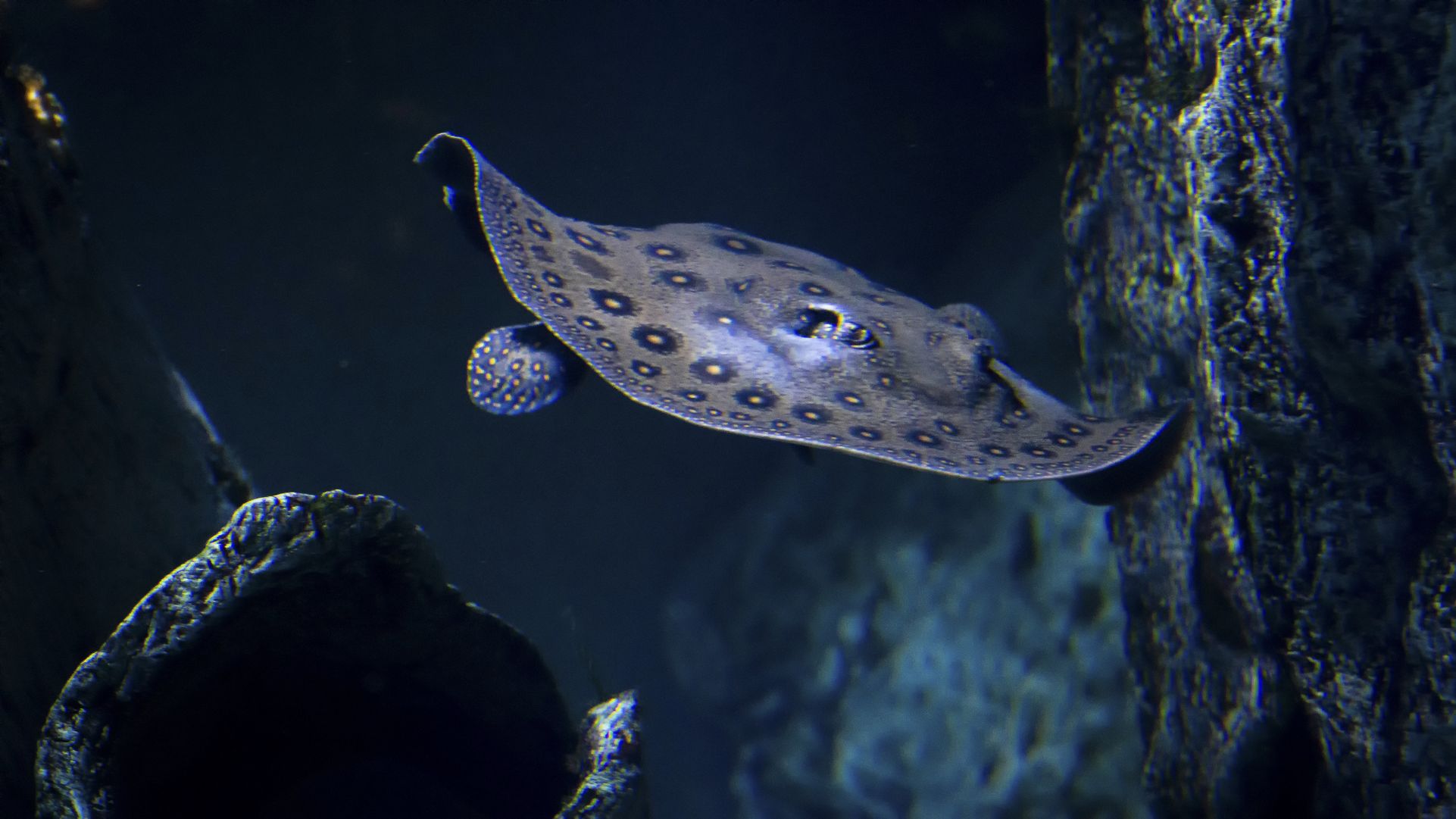 L’Aquarium de Lyon, un lieu unique pour les petits et les grands ! - La ...